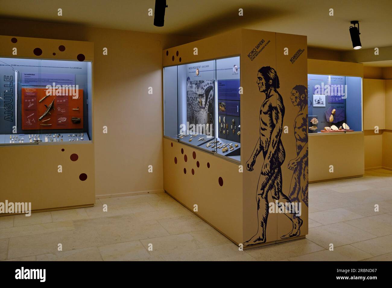 Pech merle cave art hi-res stock photography and images - Alamy