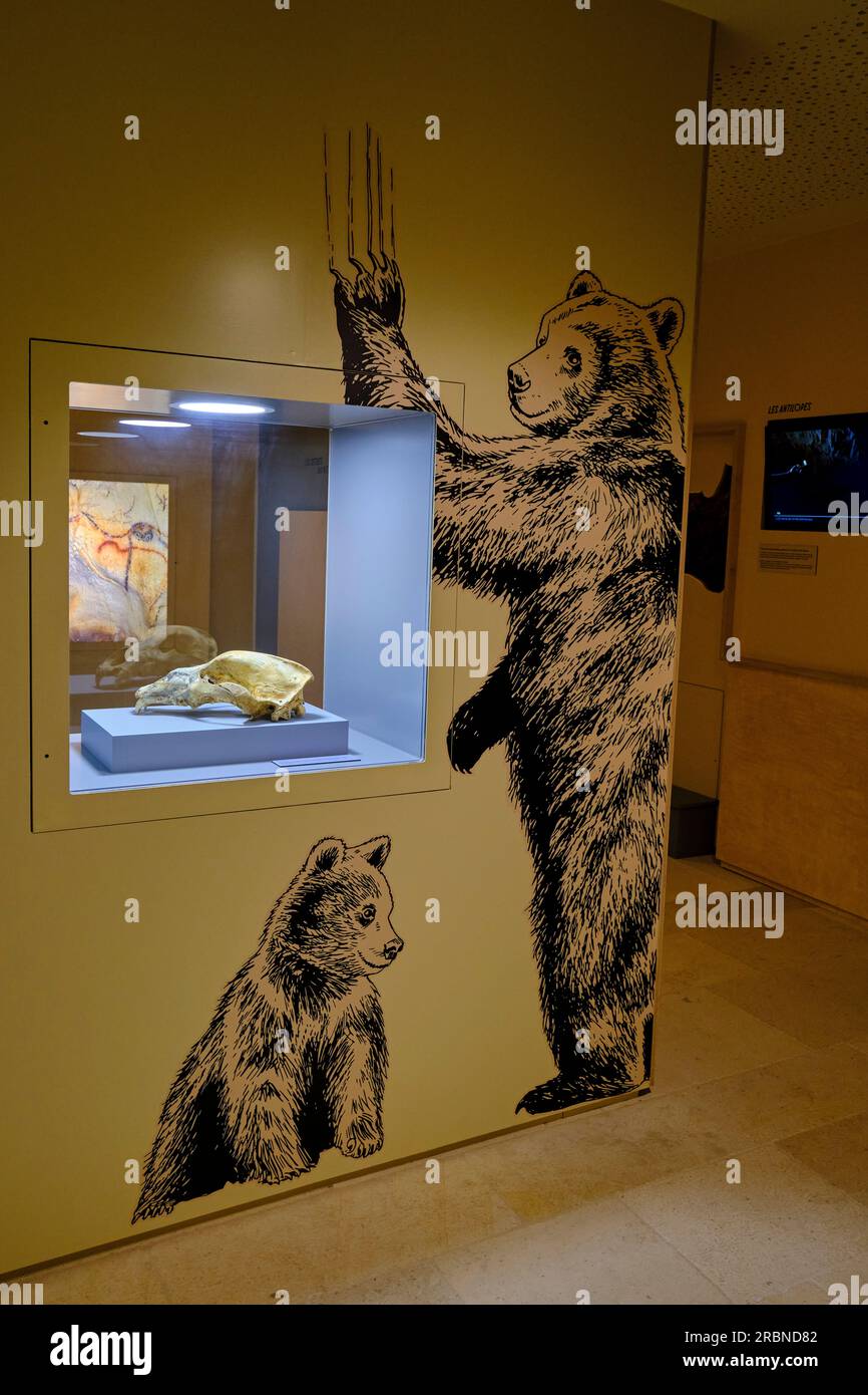 Pech merle cave art hi-res stock photography and images - Alamy