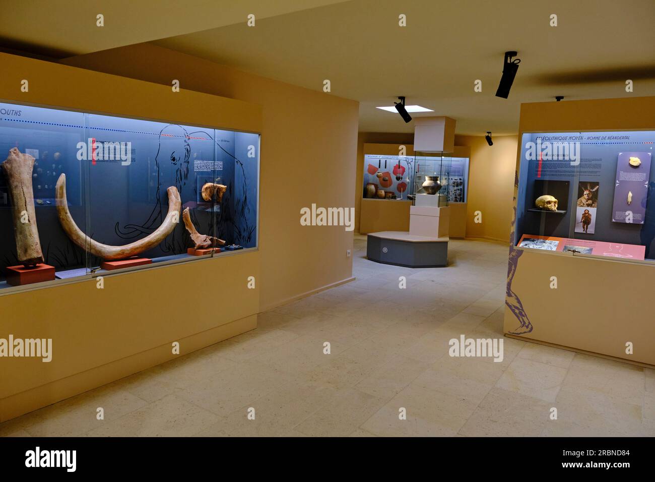 Pech merle cave art hi-res stock photography and images - Alamy