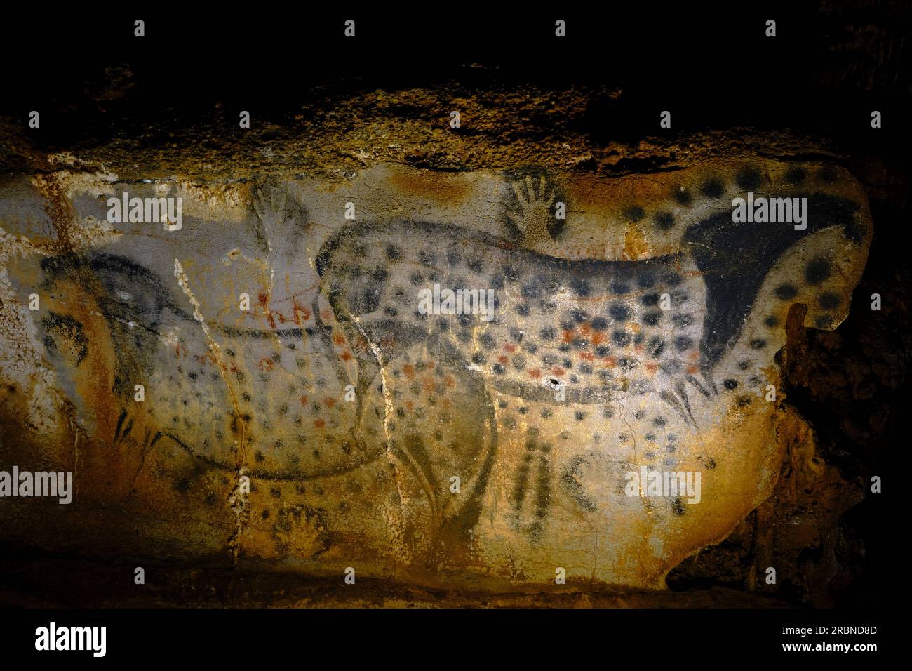 France, Lot (46), Cabrerets, Grotte du Pech Merle, Center of Prehistory ...