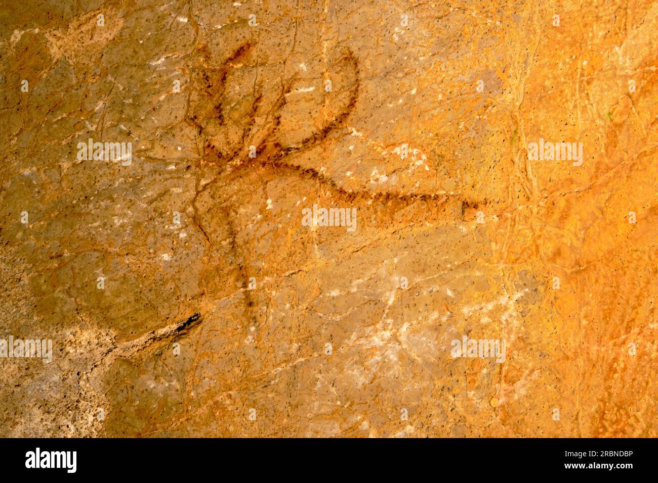France, Lot (46), Cabrerets, Grotte du Pech Merle, Center of Prehistory ...