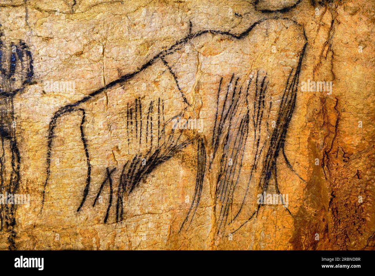 France, Lot (46), Cabrerets, Grotte du Pech Merle, Center of Prehistory ...