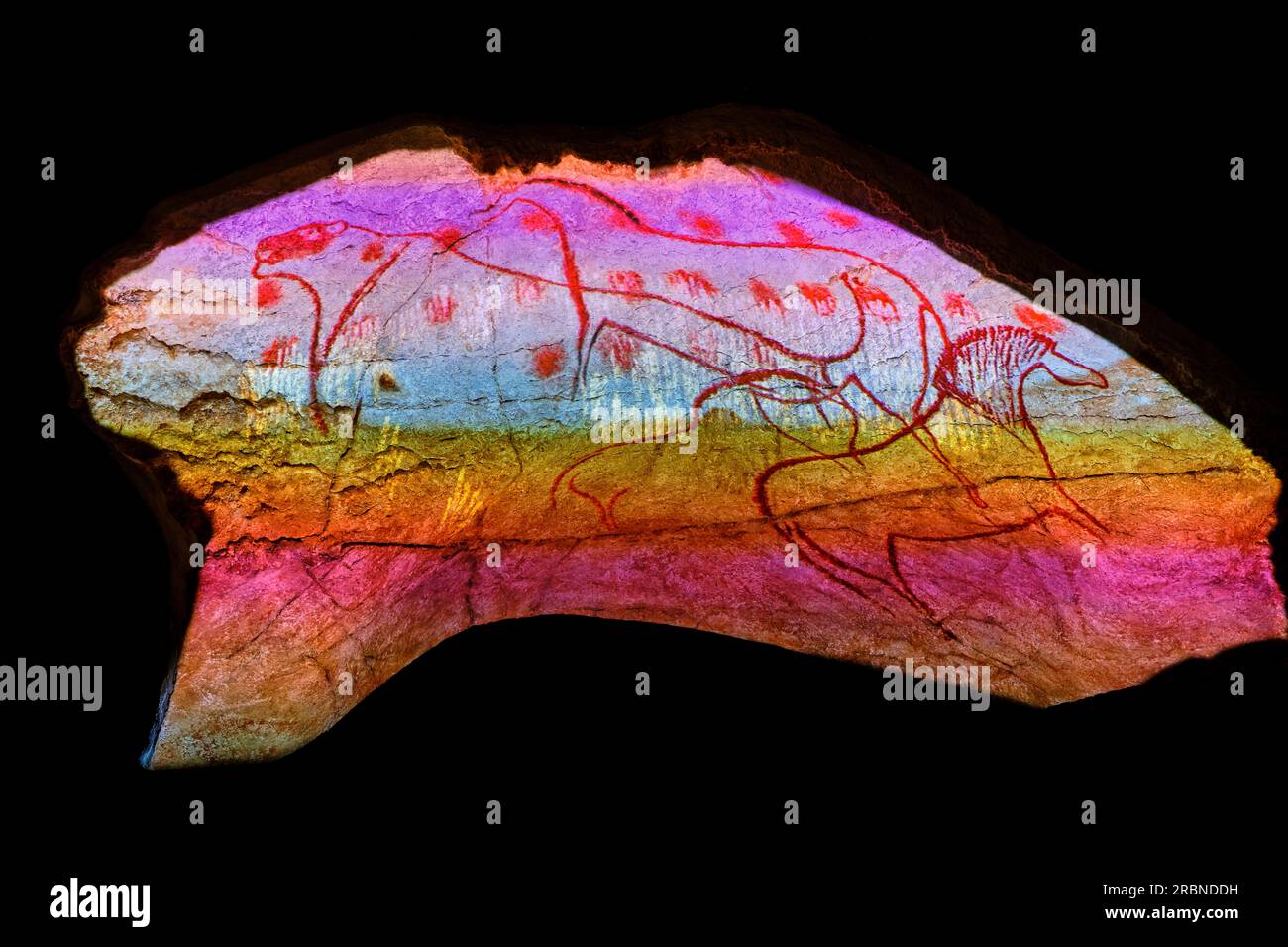 Pech merle cave art hi-res stock photography and images - Alamy