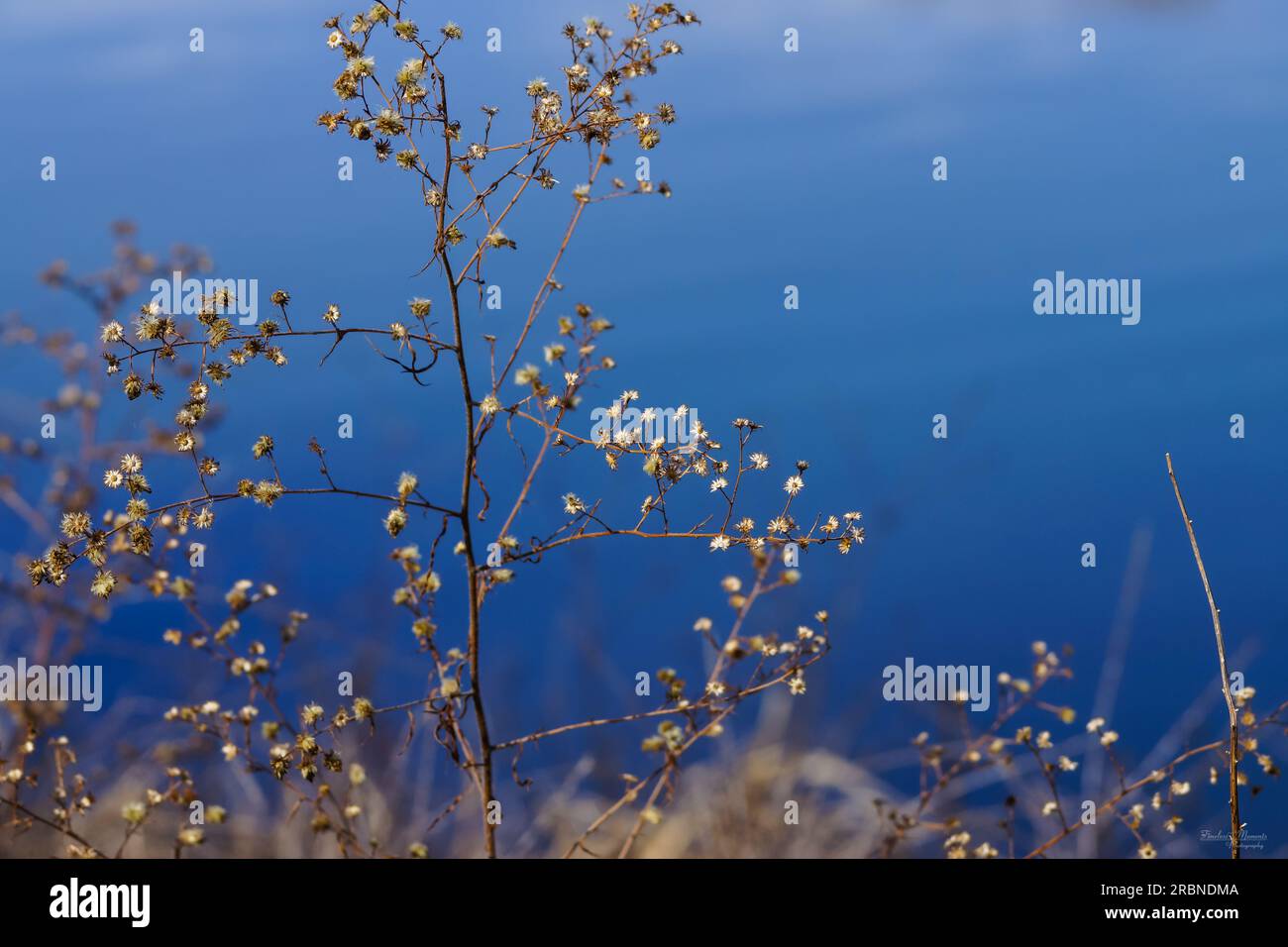 Nathanael greene park hi-res stock photography and images - Alamy