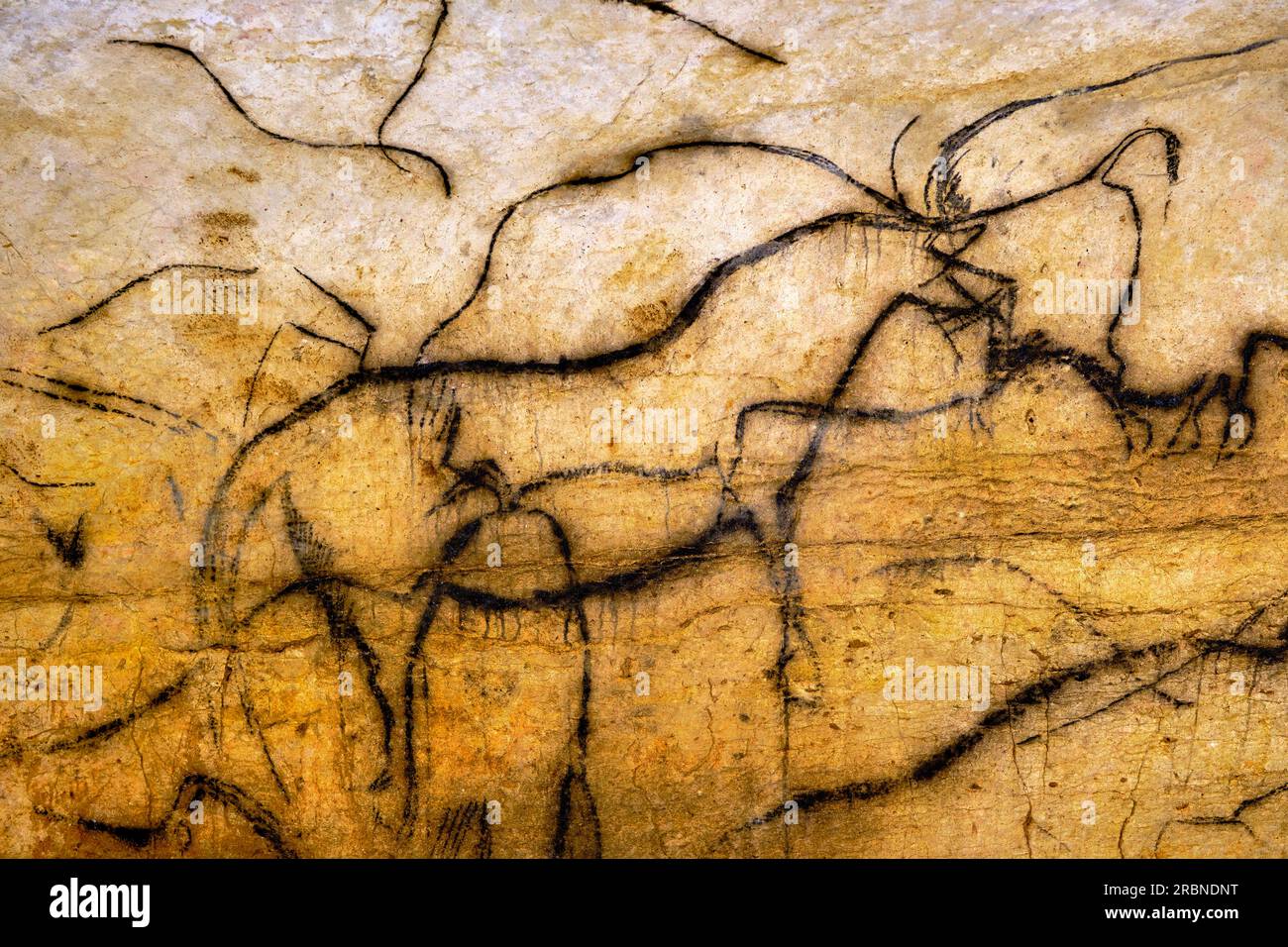 France, Lot (46), Cabrerets, Grotte du Pech Merle, Center of Prehistory ...