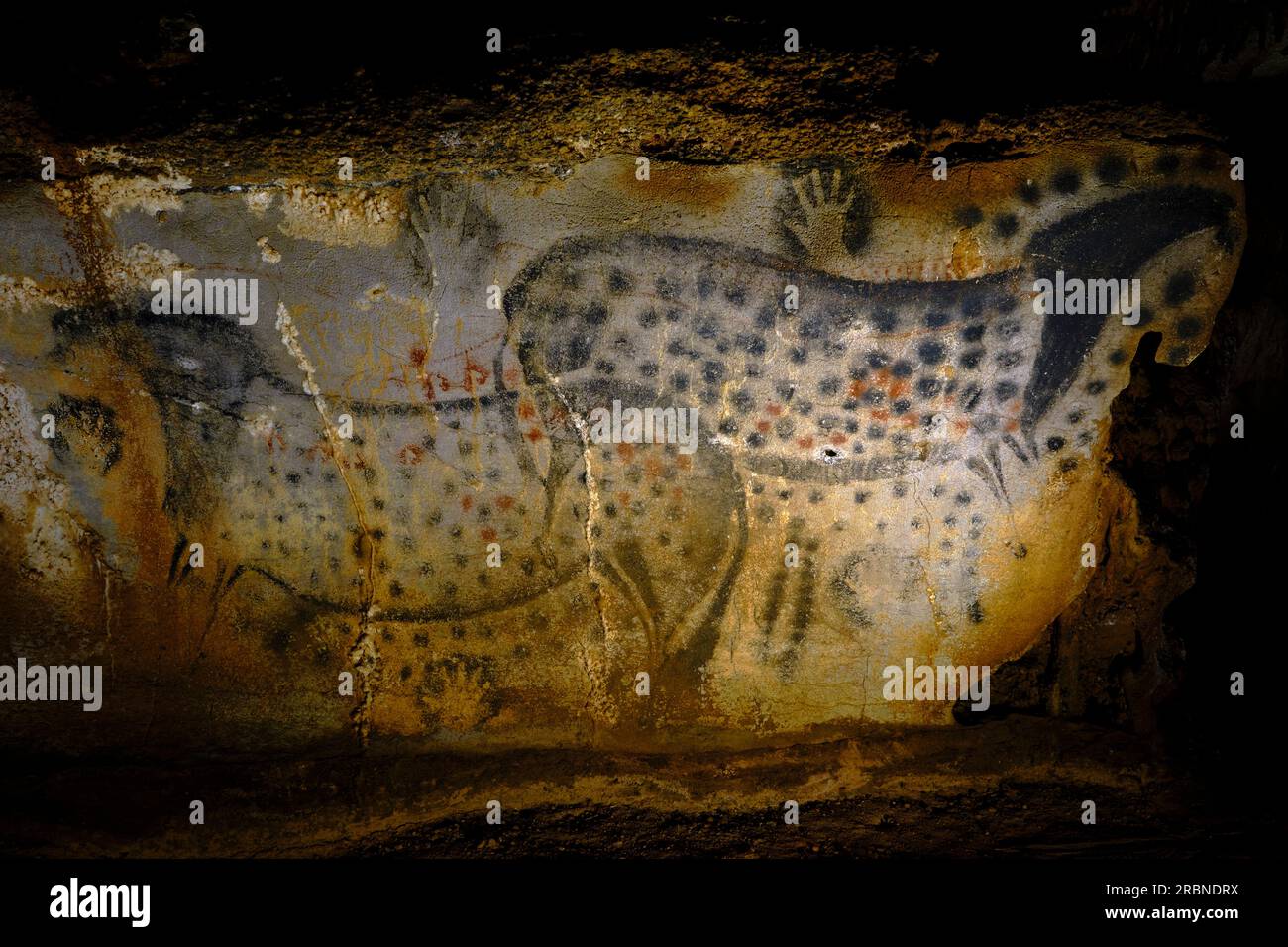 France, Lot (46), Cabrerets, Grotte du Pech Merle, Center of Prehistory ...