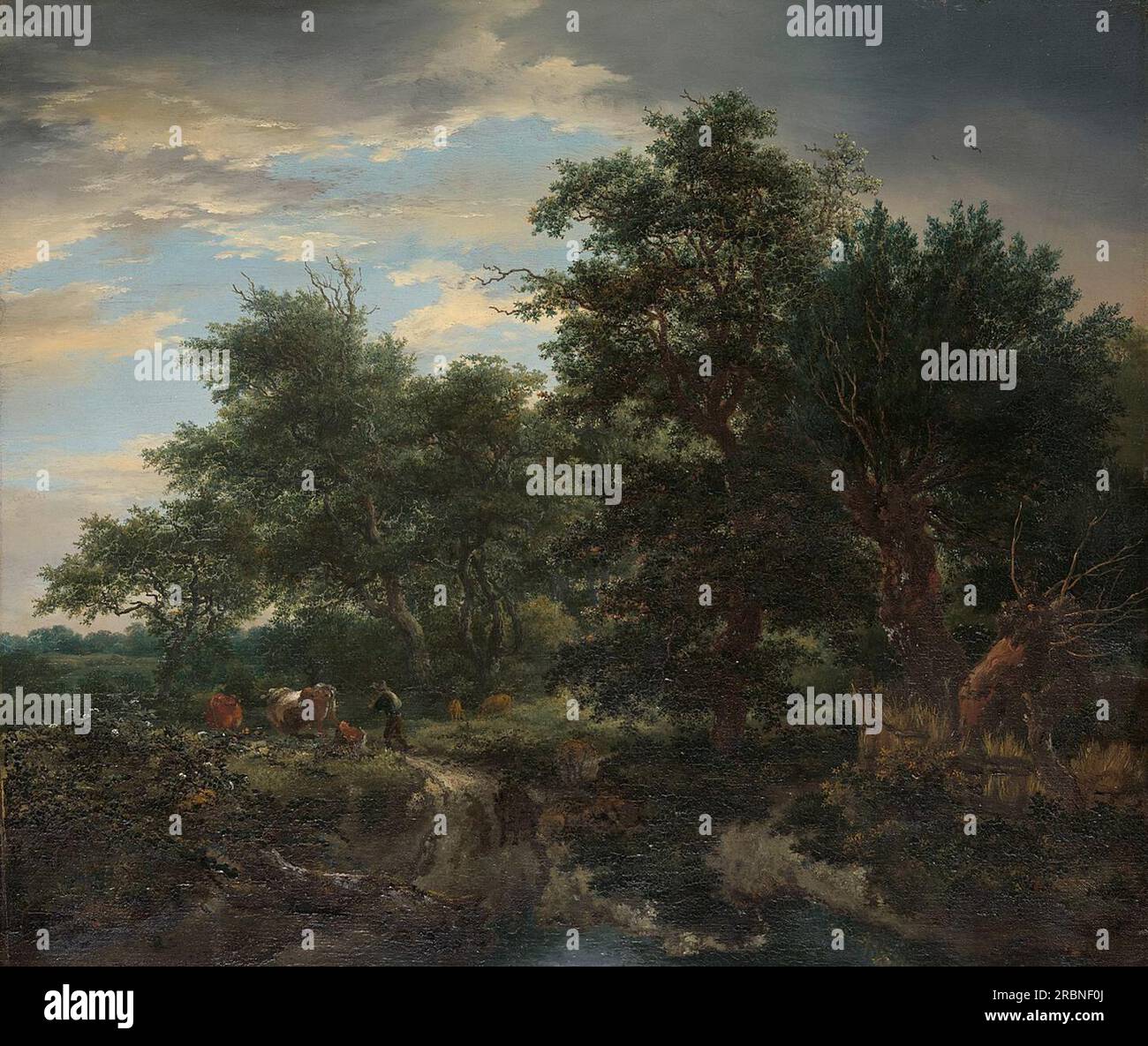 Forest scene by Jacob van Ruisdael Stock Photo - Alamy
