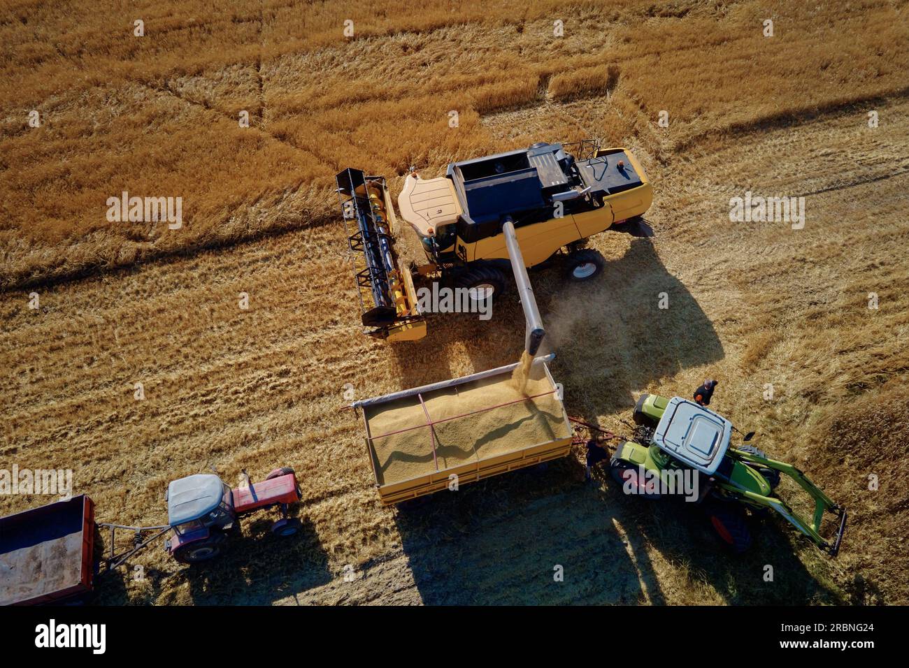 Harvesting machine working at agricultural field. Combine harvester ...