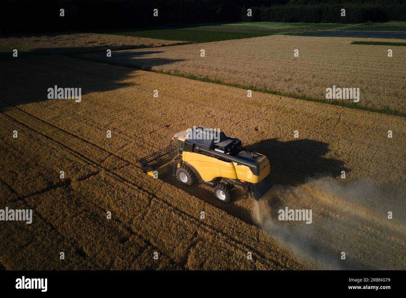 Harvesting machine working at agricultural field. Combine harvester ...
