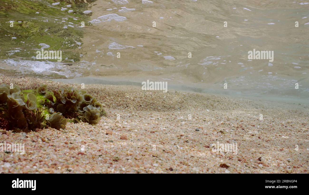 Refraction sunlight in sea water hi-res stock photography and images ...