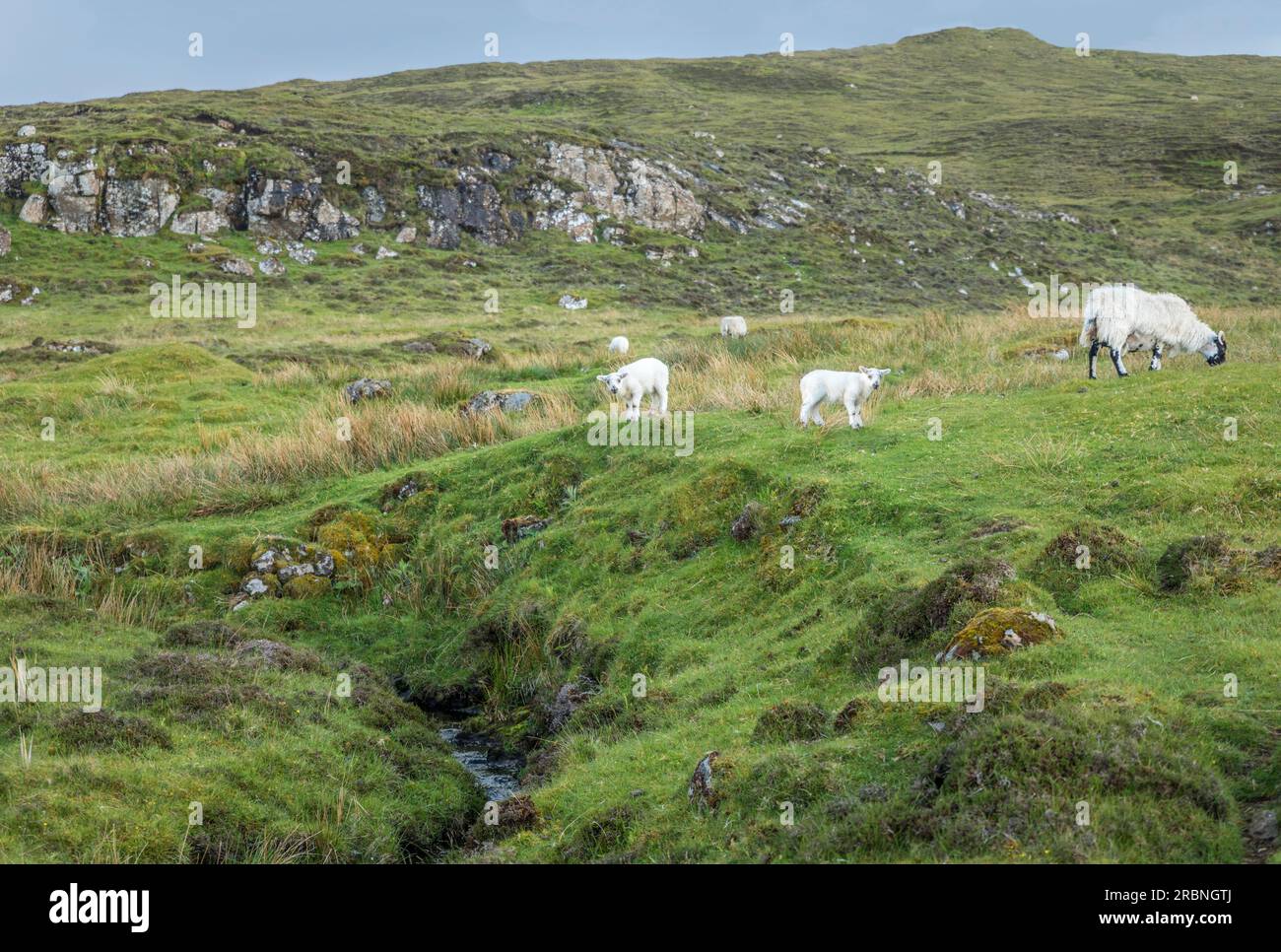 Cliff in scotland highlands hi-res stock photography and images - Alamy