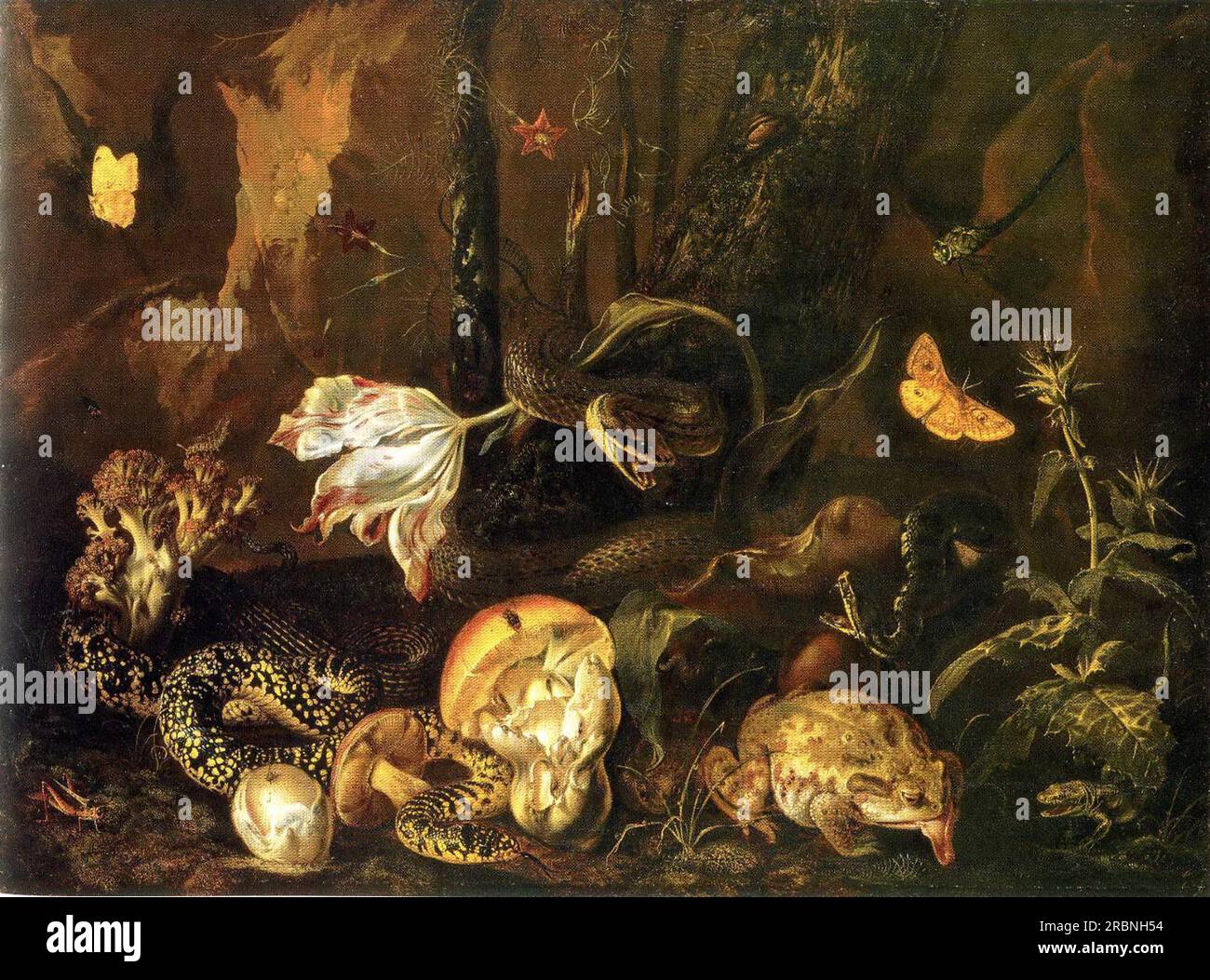 Schrieck mushrooms hi-res stock photography and images - Alamy