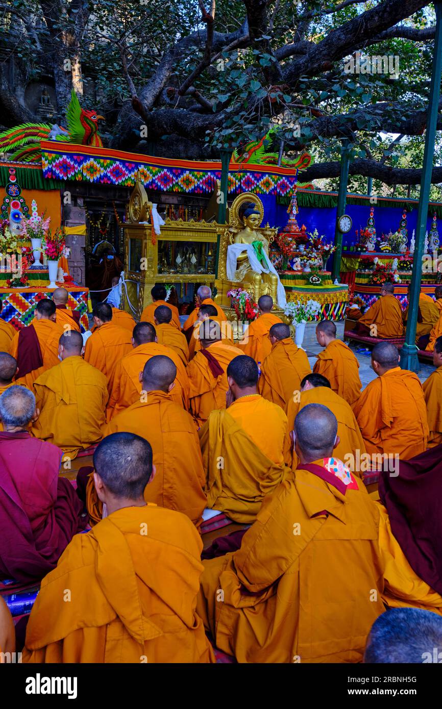 India, Bihar, Bodhgaya, Unesco World Heriatge, the Mahabodhi Temple ...