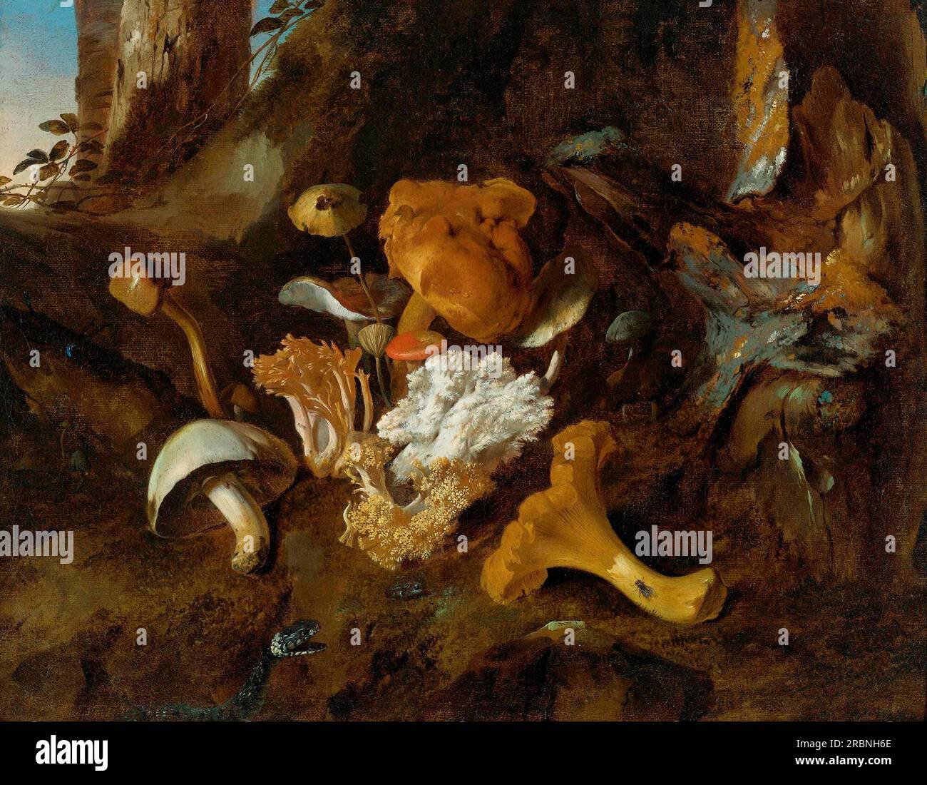 A Forest Floor Still Life with Mushrooms and a Snake 1657 by Otto ...