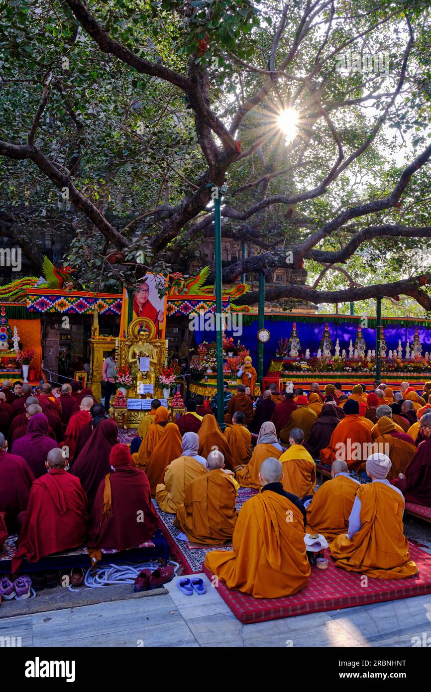 India, Bihar, Bodhgaya, Unesco World Heriatge, the Mahabodhi Temple ...
