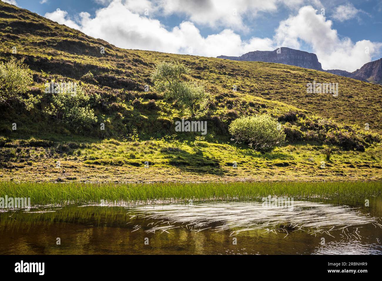 Small loch Lochan nan Dunan in the north east of the Trotternish ...