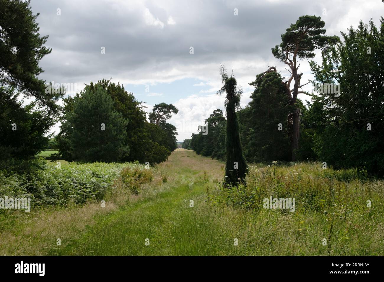 Monnington hi-res stock photography and images - Alamy