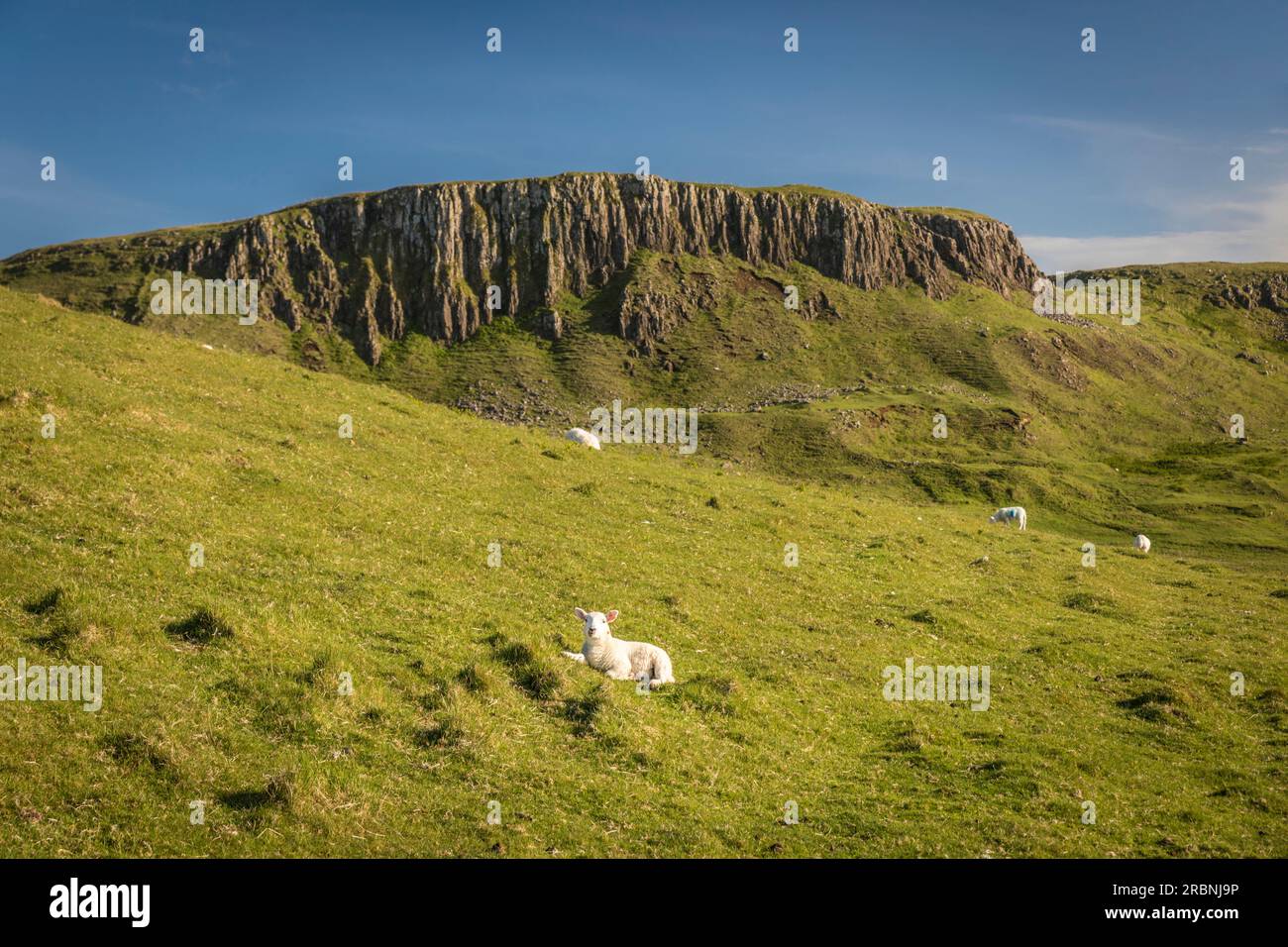 Mountain range on the north west coast of the Trotternish Peninsula ...