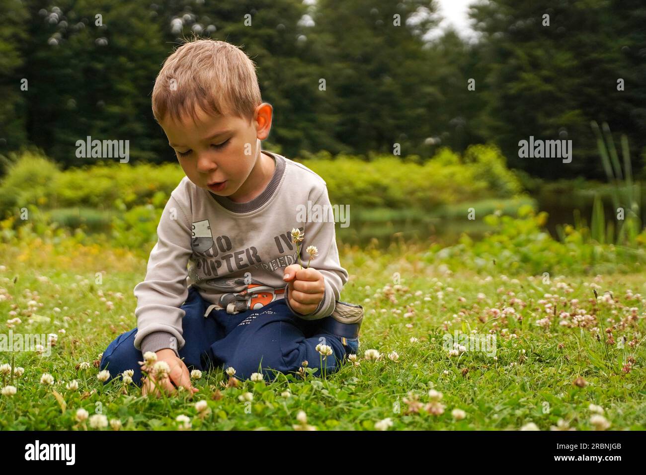 A little boy sits in a meadow and studies flowers with interest ...