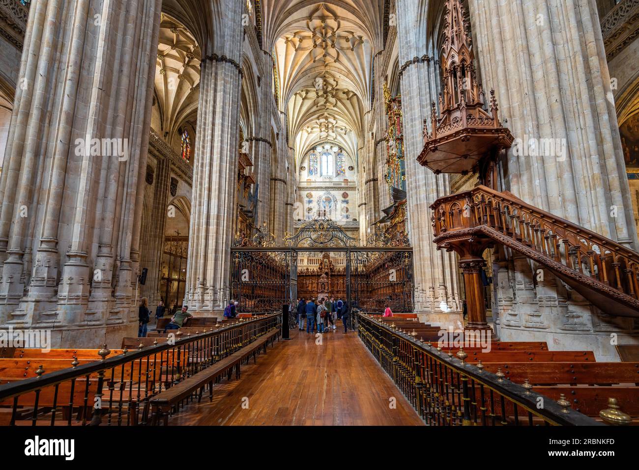 Pocos Catedral Interior