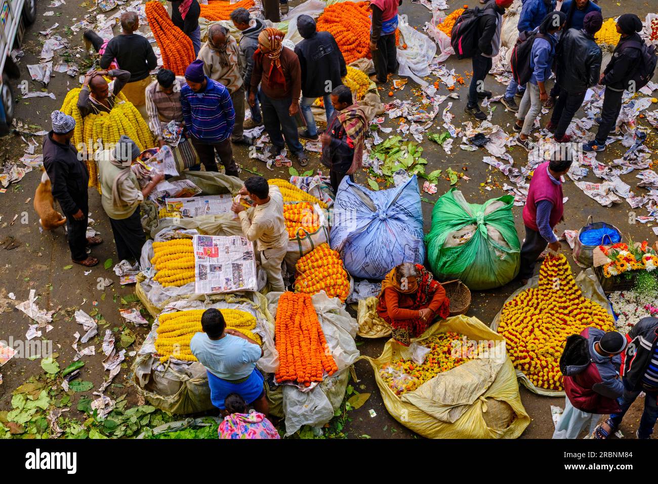 India, West Bengal, Kolkata, Calcutta, Mullick Ghat flower market Stock ...