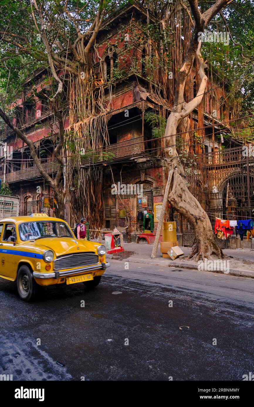 India, West Bengal, Kolkata, House of Raja Subodh Mallick and Yellow ...