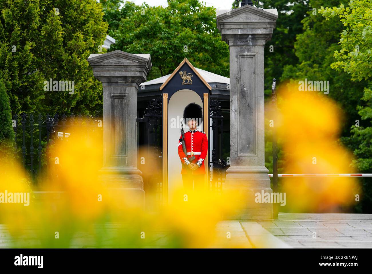 Cpl. Le stands guard at his box as the Ceremonial Guards from the Canadian Grenadier Guards (CGG ...