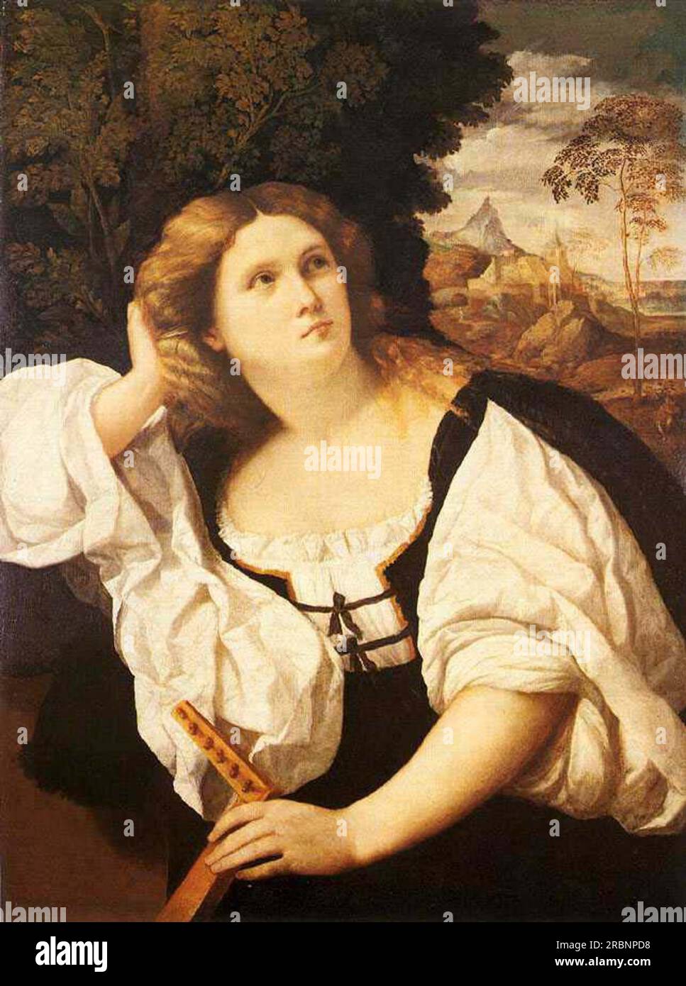 Lady with a Lute 1520 by Palma Vecchio Stock Photo - Alamy