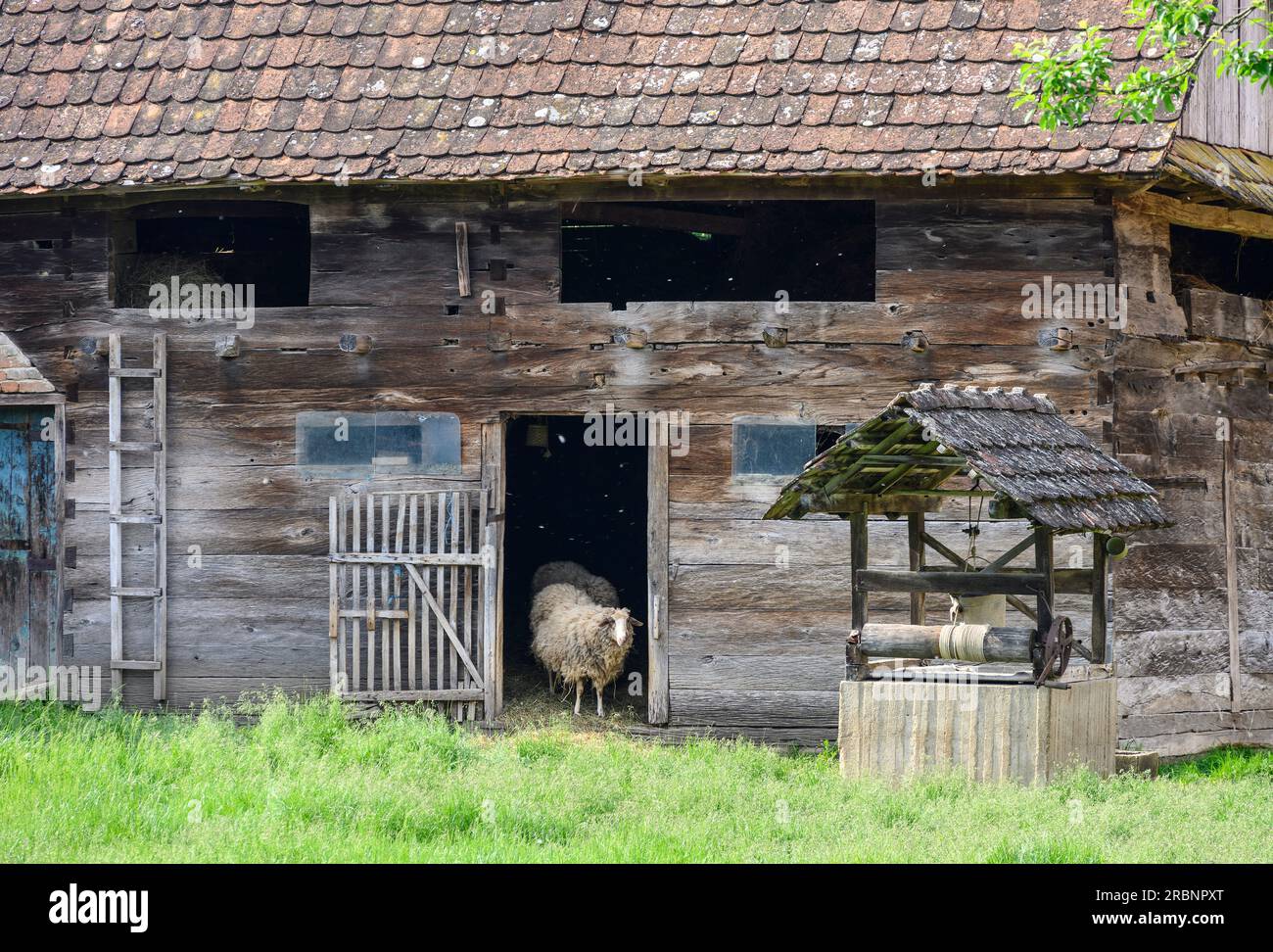 A farm yard with traditional wooden barn and well in the village of ...