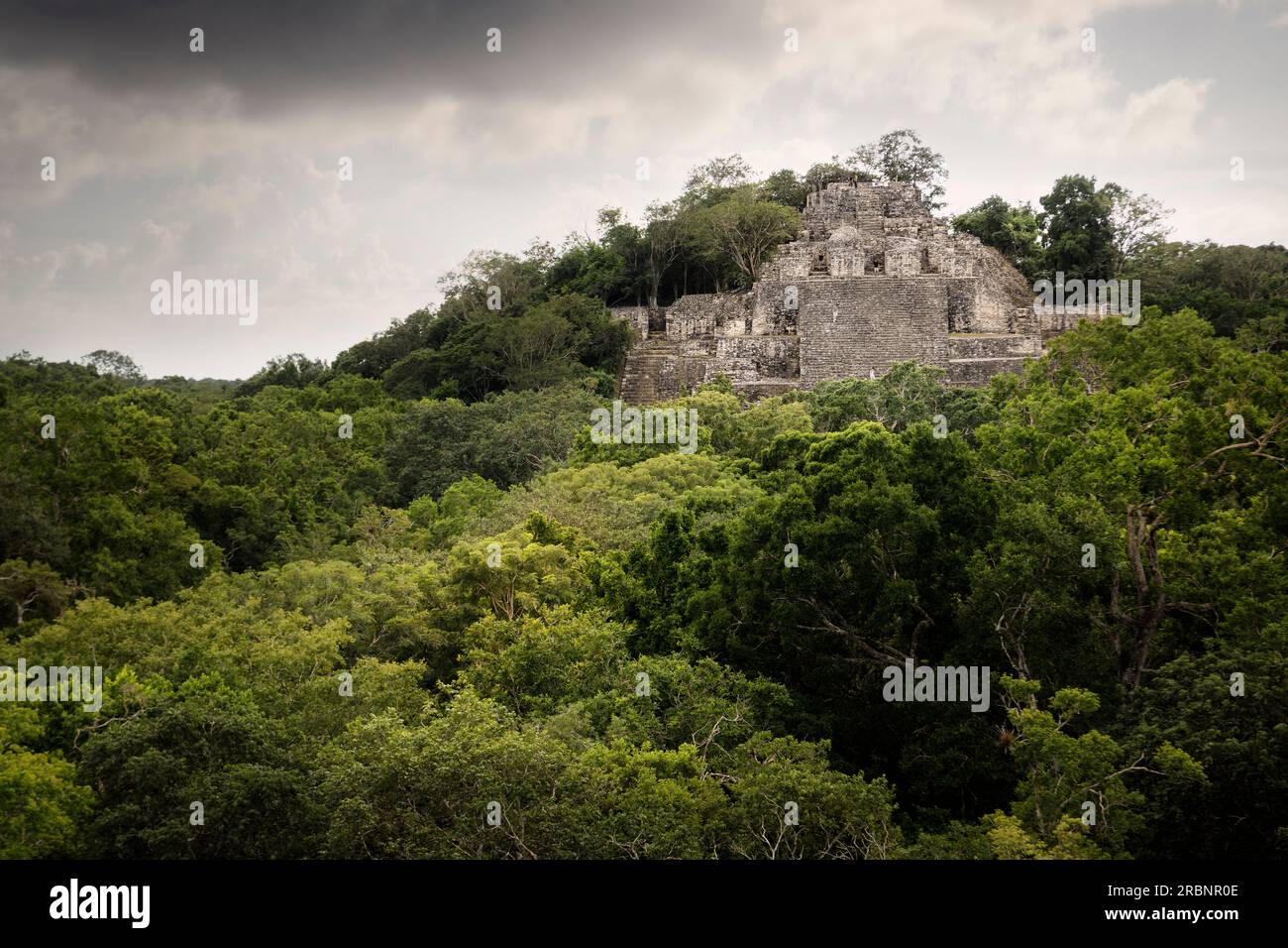 ruined Mayan pyramid temple in the dense jungle of Calakmul, Yucatán ...