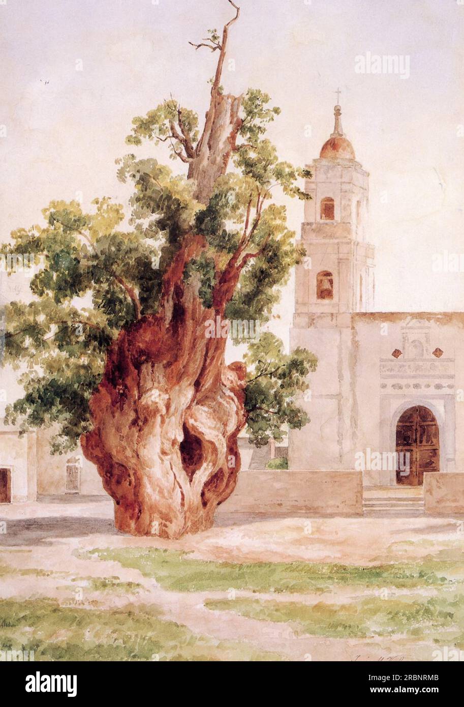 Árbol de la Noche Triste 1910 by Jose Maria Velasco Stock Photo - Alamy