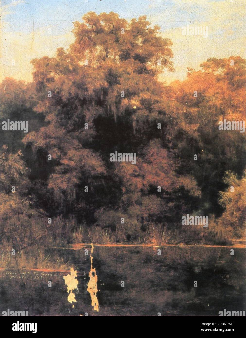 Ahuehuetes de chapultepec hi-res stock photography and images - Alamy