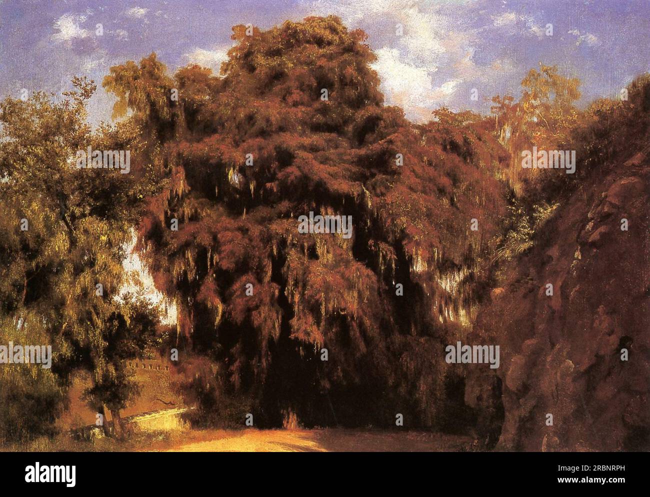 Uno de los grandes Ahuehuetes 1871 by Jose Maria Velasco Stock Photo ...