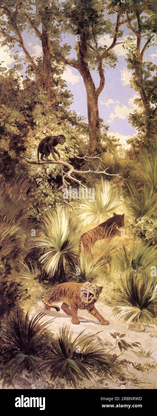 Plantas Del Periodo Cuaternario