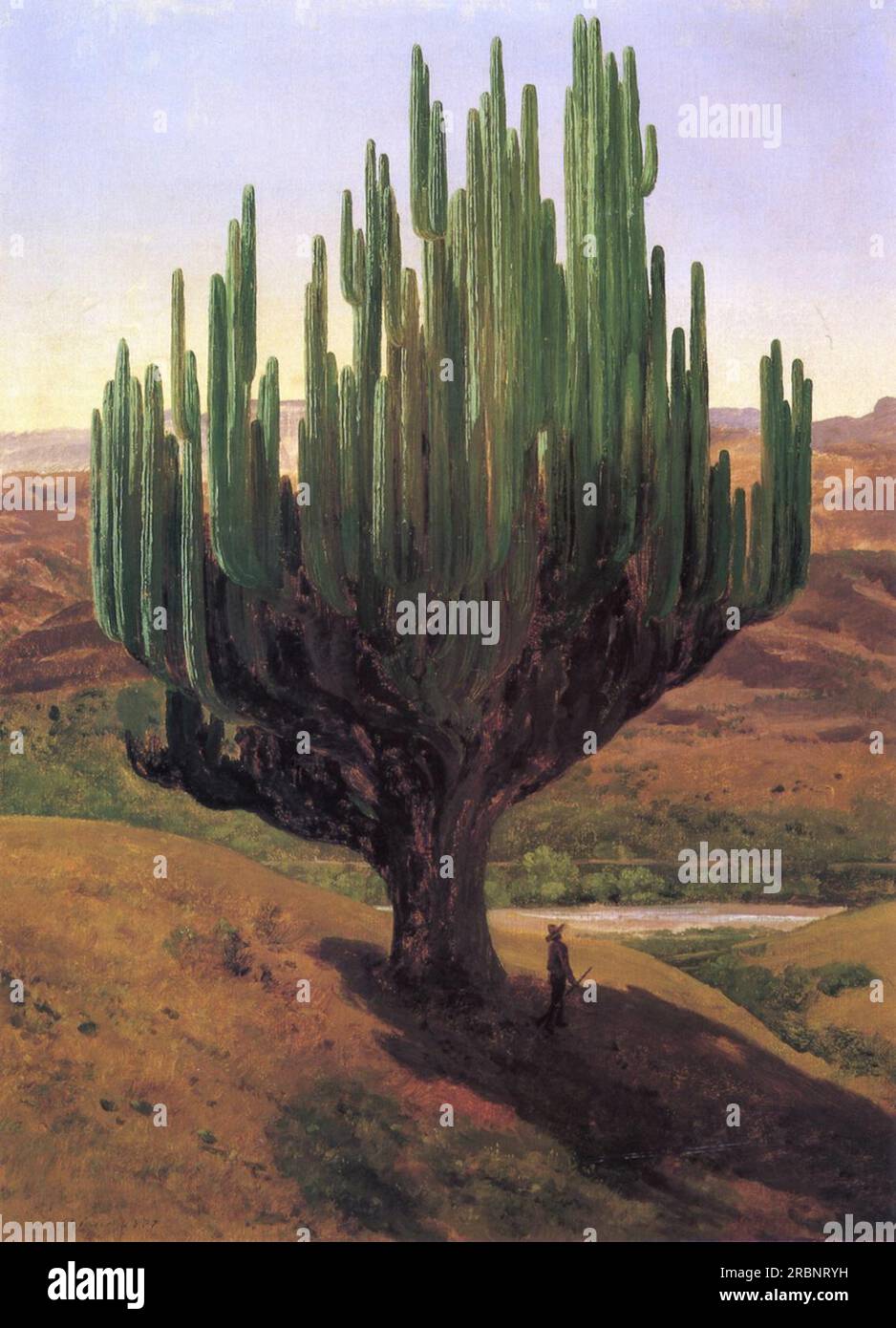 Cardón 1887 by Jose Maria Velasco Stock Photo - Alamy