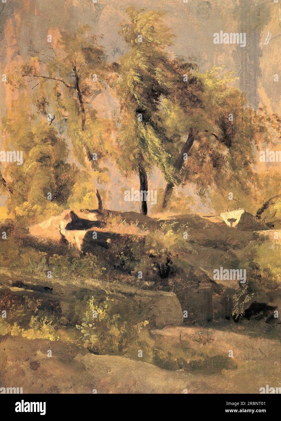 Sauces llorones by Jose Maria Velasco Stock Photo - Alamy