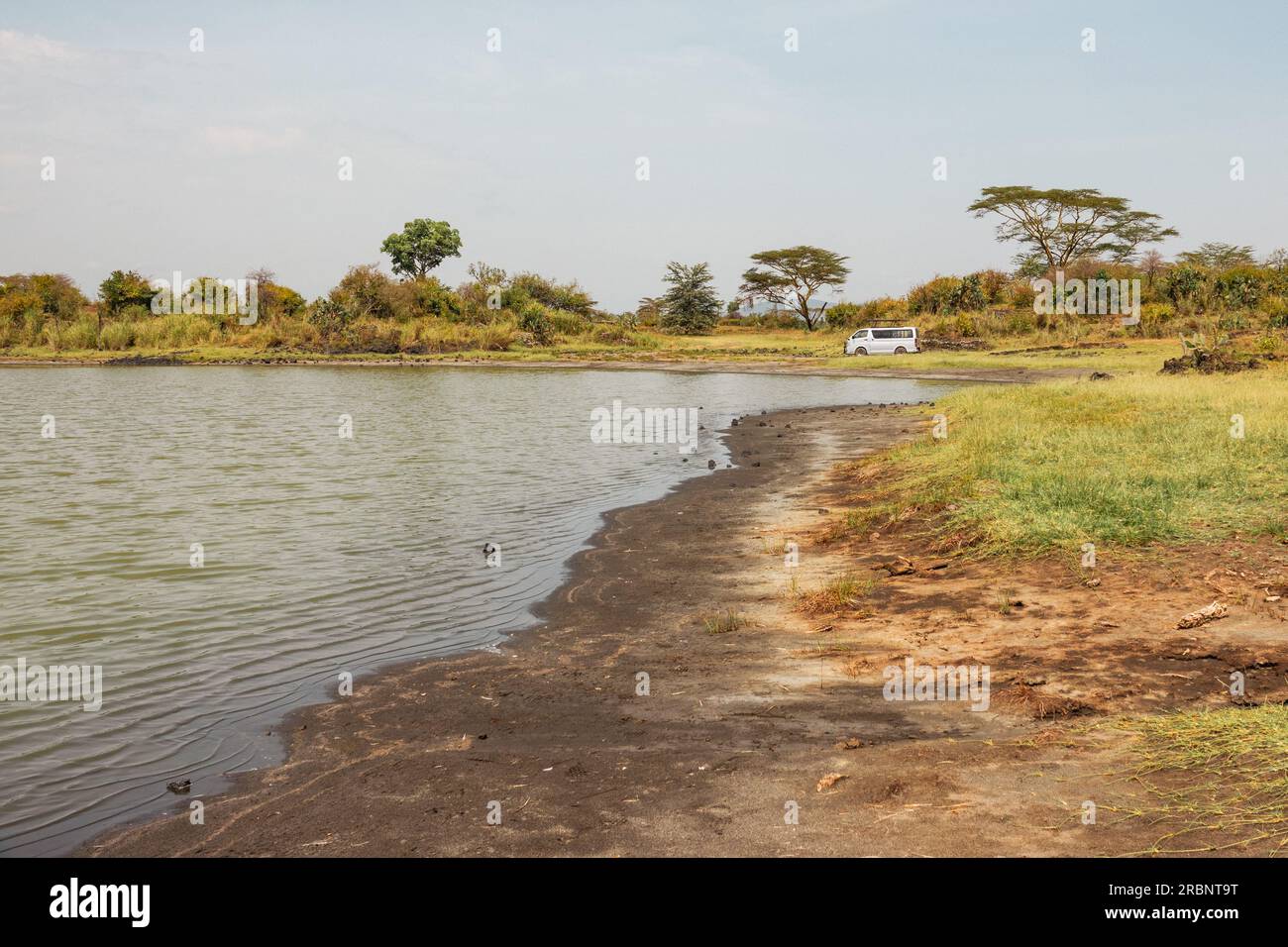 A safari vehicle in the wild at Lake Elementaita in Soysambu ...