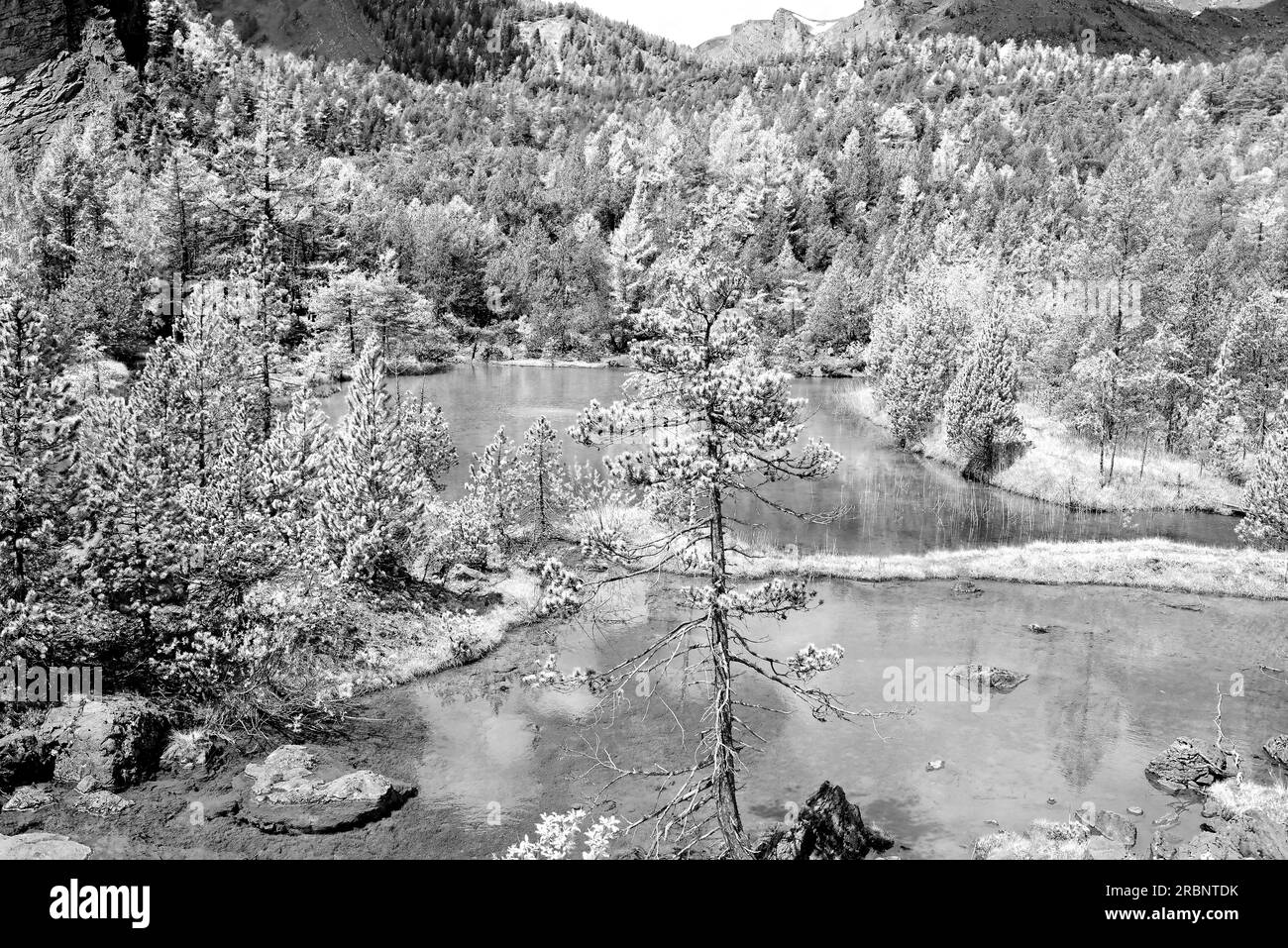 A mountain pool in the Swiss Alps, in the Derborance Valley below the ...