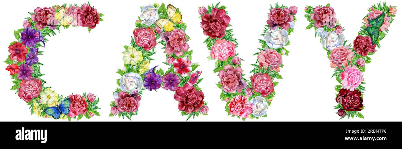 Word BRO of watercolor flowers, isolated hand drawn on a white ...