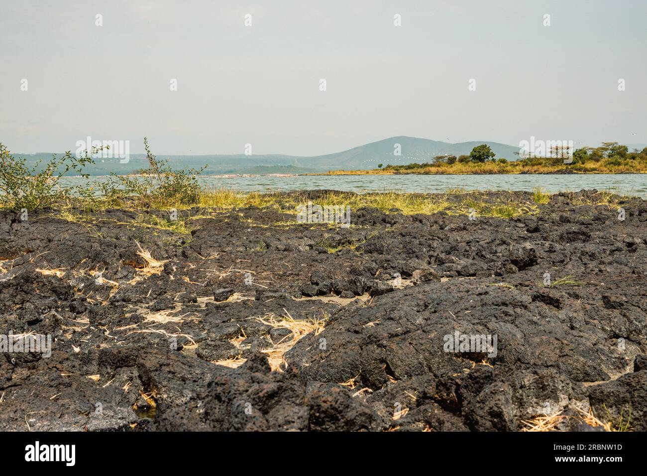 Scenic view of Lake Elementaita in Naivasha, Kenya Stock Photo - Alamy