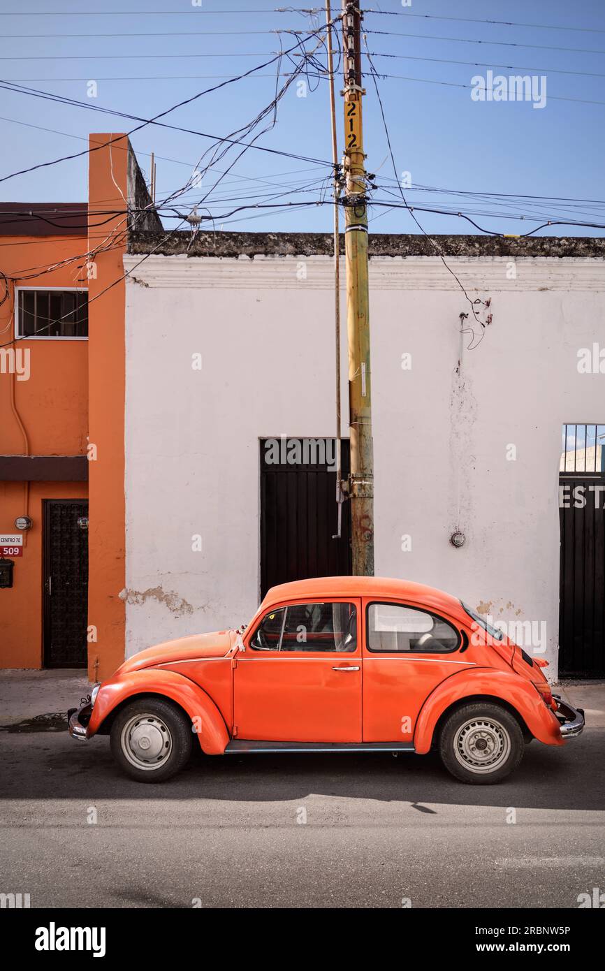 Orange VW Beetle in the streets of Mérida, capital of Yucatán, Mexico ...