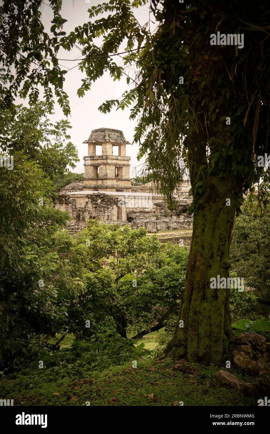 View of Palace (El Palacio), Archaeological Zone of Palenque, Mayan ...