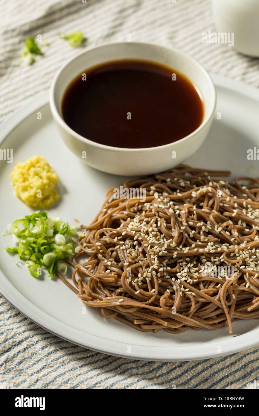 Homemade Buckwheat Japanese Dipping Soba Noodles with Soy Sauce Stock ...