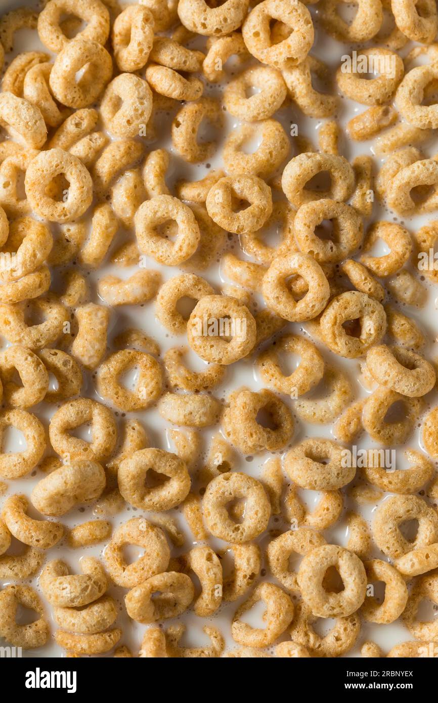 Healthy Oat Breakfast Cereal Rings with Whole Milk Stock Photo - Alamy