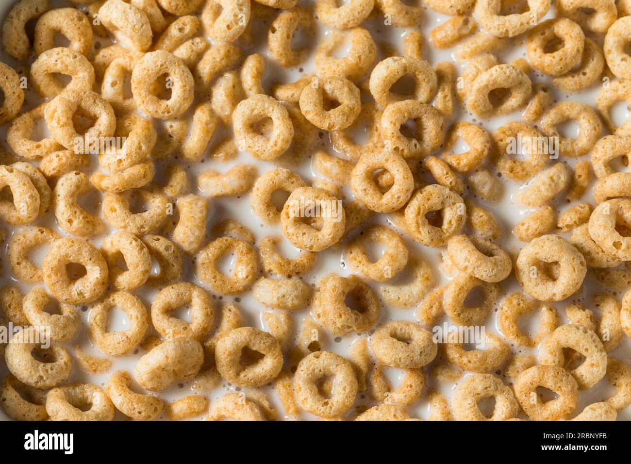 Healthy Oat Breakfast Cereal Rings with Whole Milk Stock Photo - Alamy