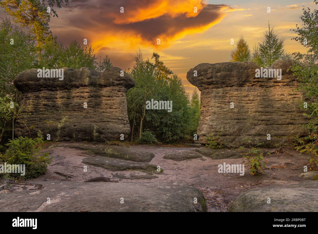 Landscape in a nature reserve Broumovske steny, eastern Bohemia, Czech ...