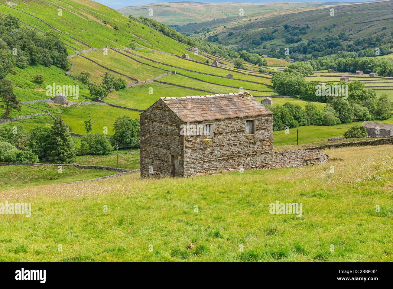 The beautiful dale of Swaledale in Summer time, Yorkshire Dales, UK ...