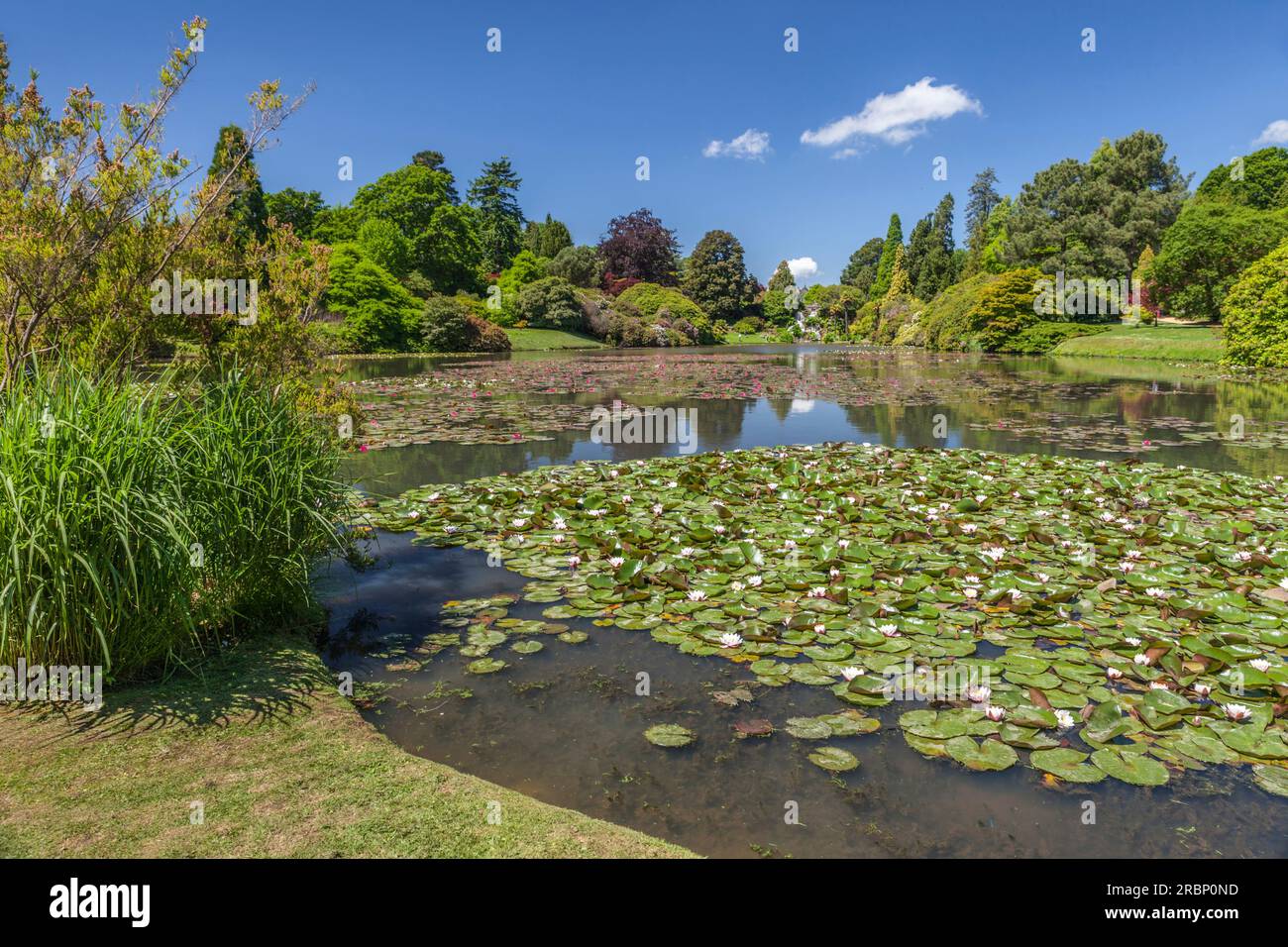 Sheffield summertime hi-res stock photography and images - Alamy