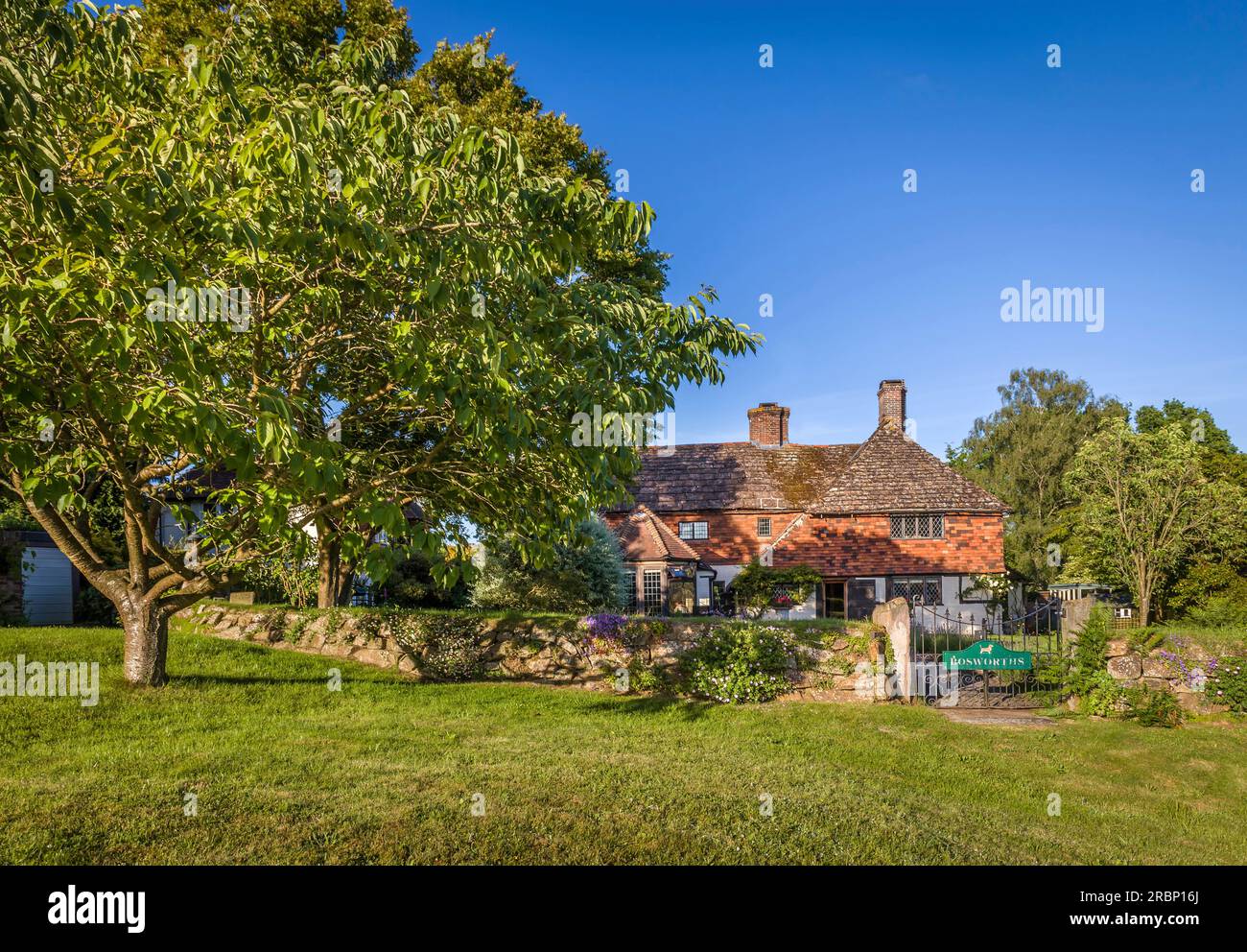 Traditional sussex english cottage house farmhouse hi-res stock ...