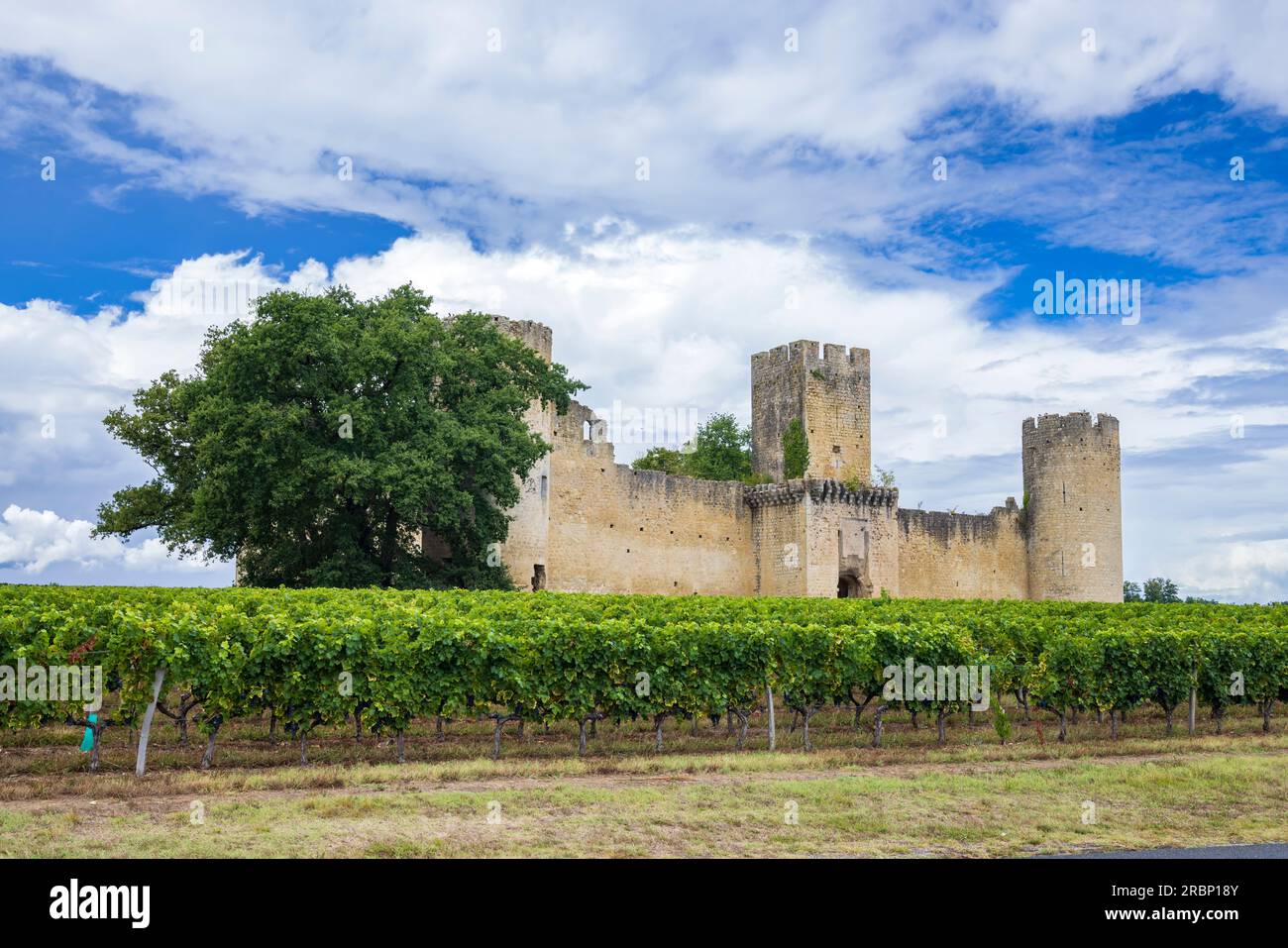 Budos castle (Chateau de Budos) in Sauternes wine region, Gironde ...